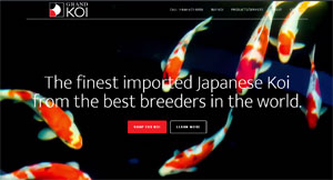 New Grand Koi Website Launch!